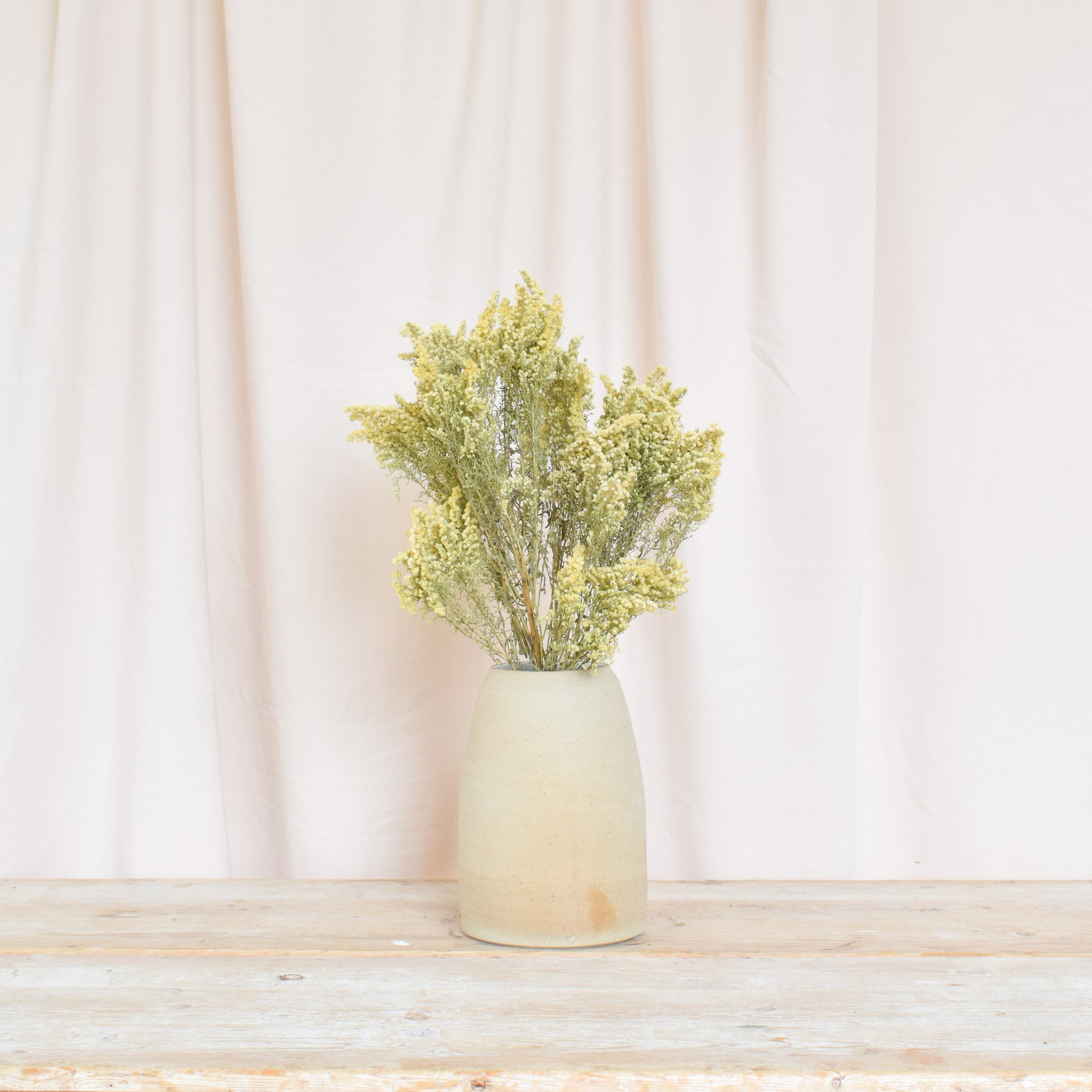 Bunch of Dried Solidago