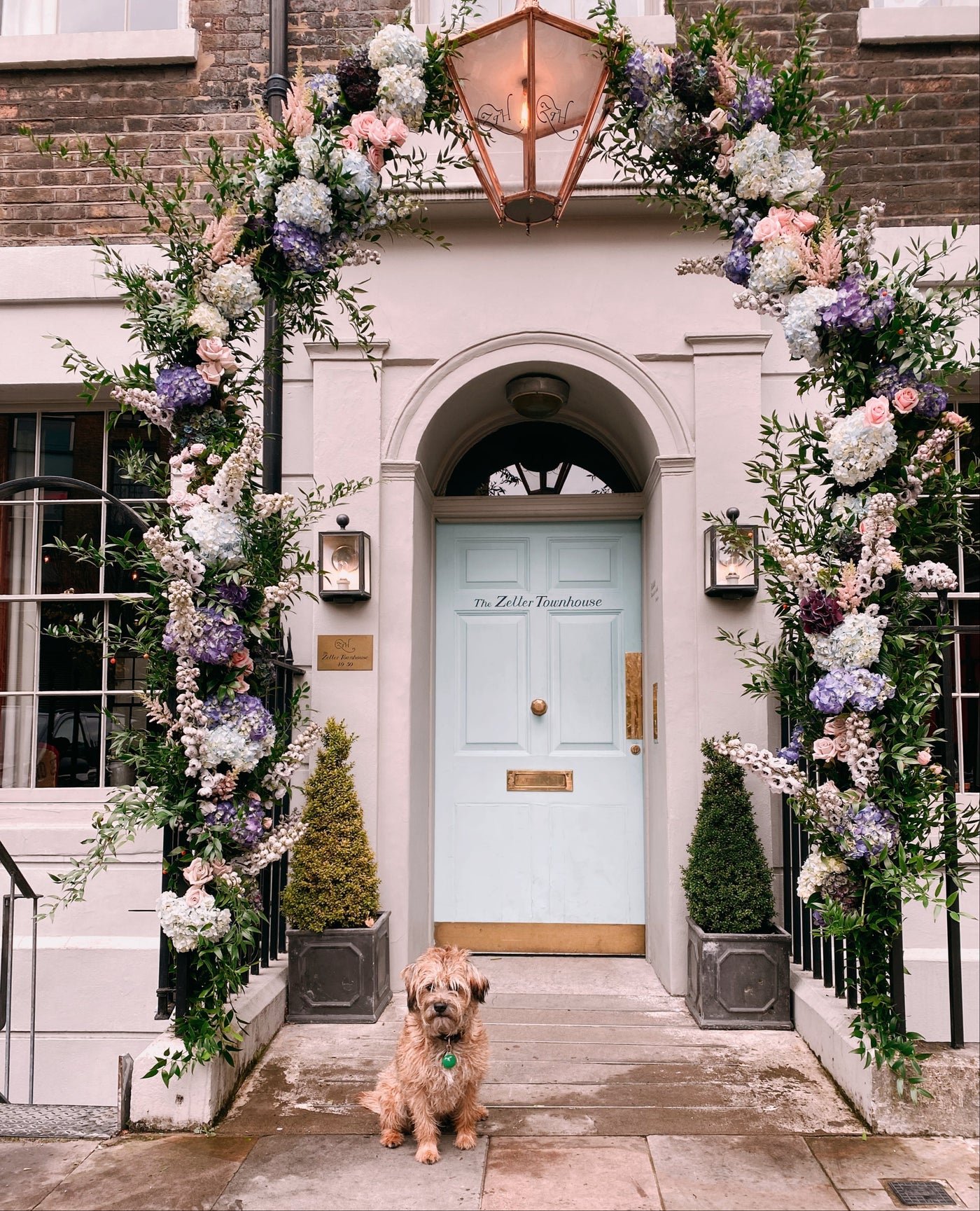 Botanique Workshop | Florist, Plants & Artisan Gift Store, London